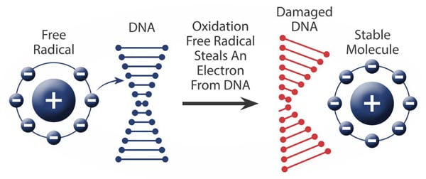 VION Negative Ion Therapy • Eastbay Wellness